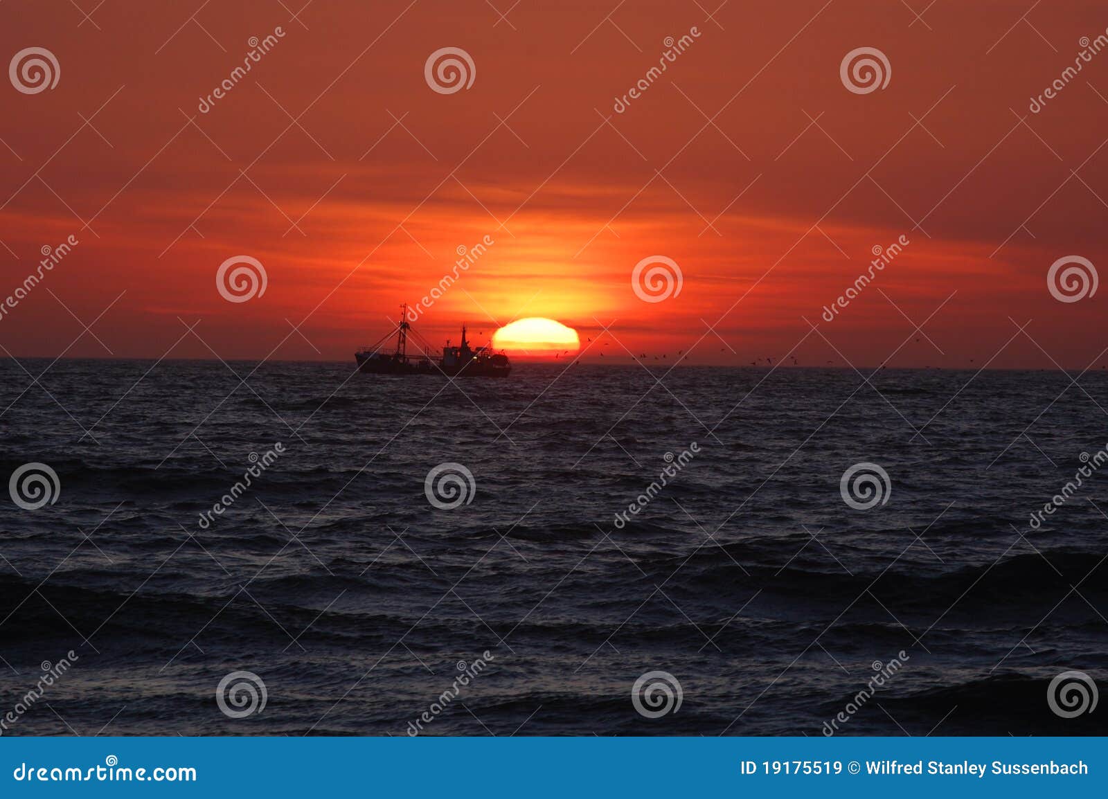 Una Barca Durante L'alba Del Sole Immagine. Immagine: 19175519