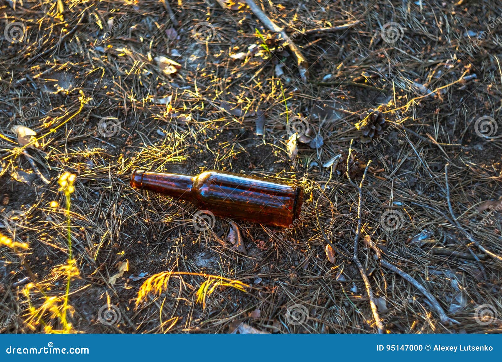 Una Botella De Cerveza Vacía Sucia Foto de archivo - Imagen de hierba ...