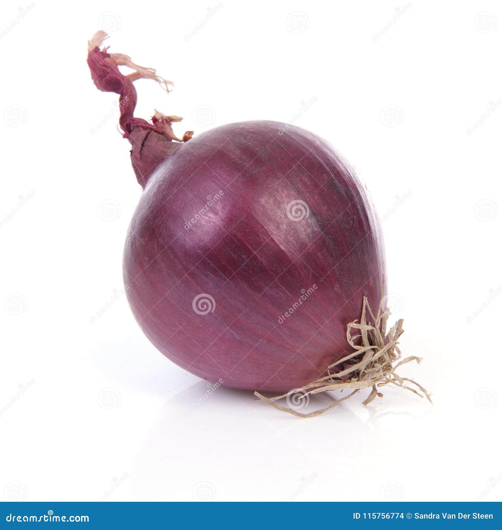 Una Cebolla Cruda Roja Sobre El Fondo Blanco Foto de archivo - Imagen ...