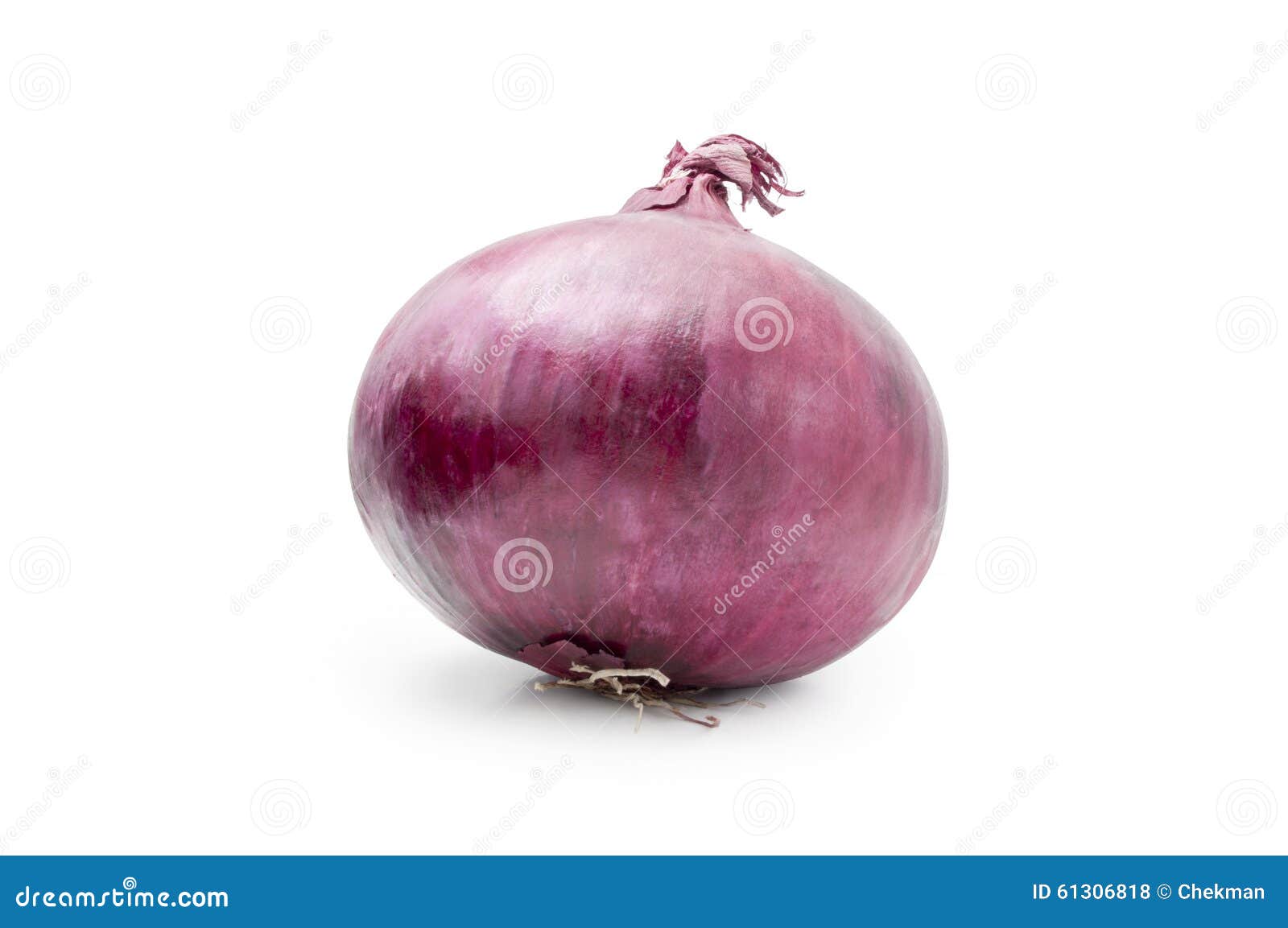 Una cipolla rossa isolata fotografia stock. Immagine di spezia - 61306818