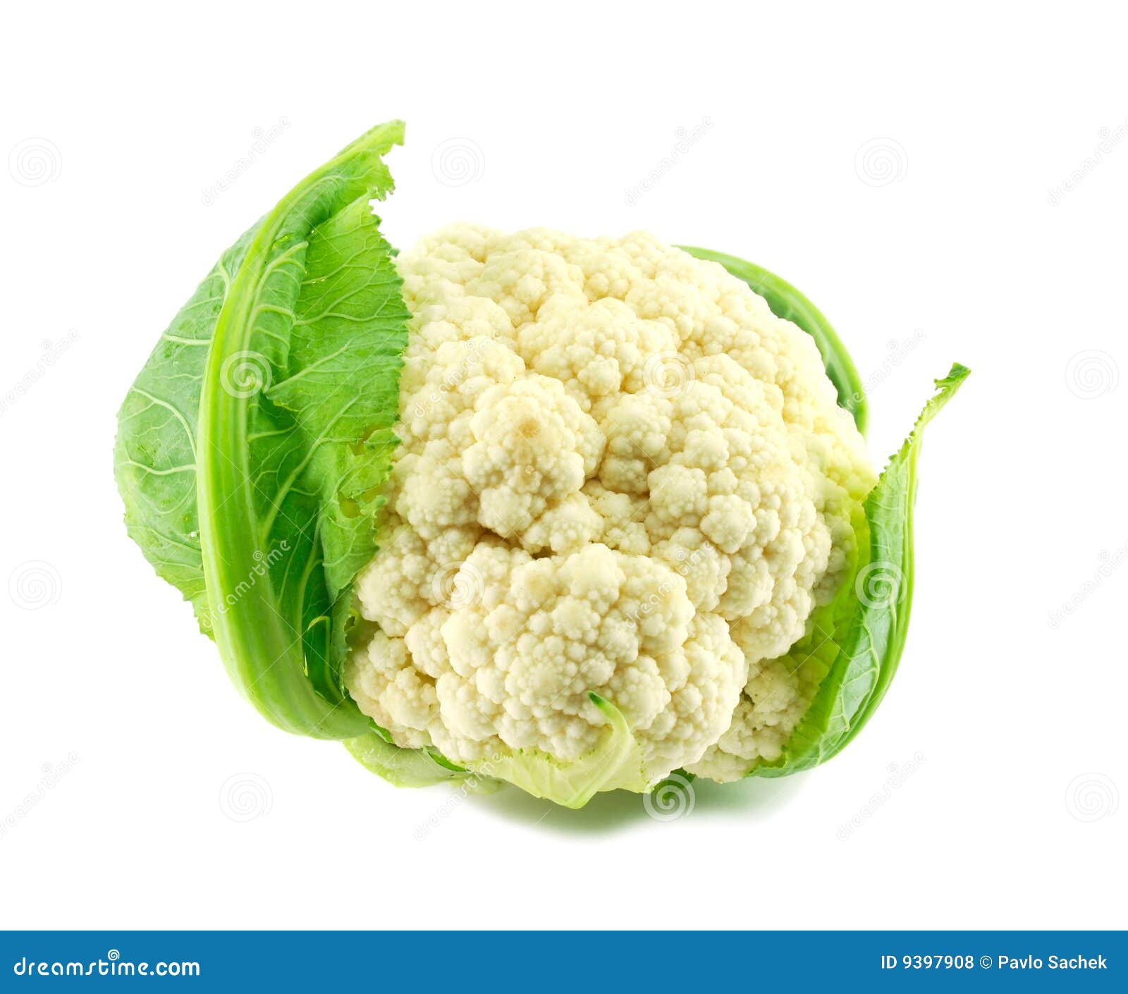 Una coliflor aislada foto de archivo. Imagen de cosecha - 9397908