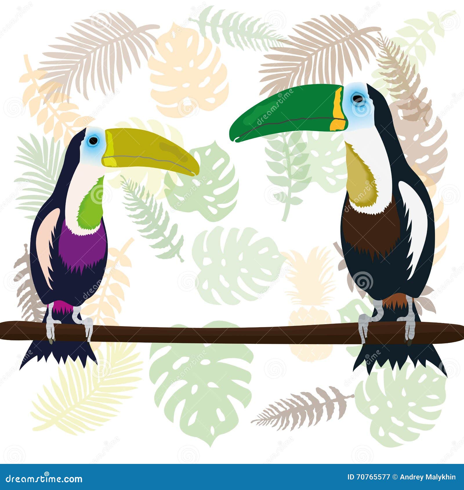Una coppia di tucani illustrazione vettoriale. Illustrazione di becco ...