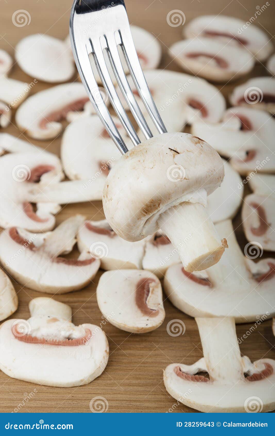 Una Fork Que Alancea Una Seta Imagen de archivo - Imagen de crudo, seta ...