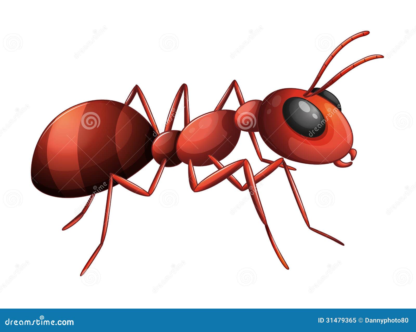 Una formica illustrazione vettoriale. Illustrazione di formica - 31479365