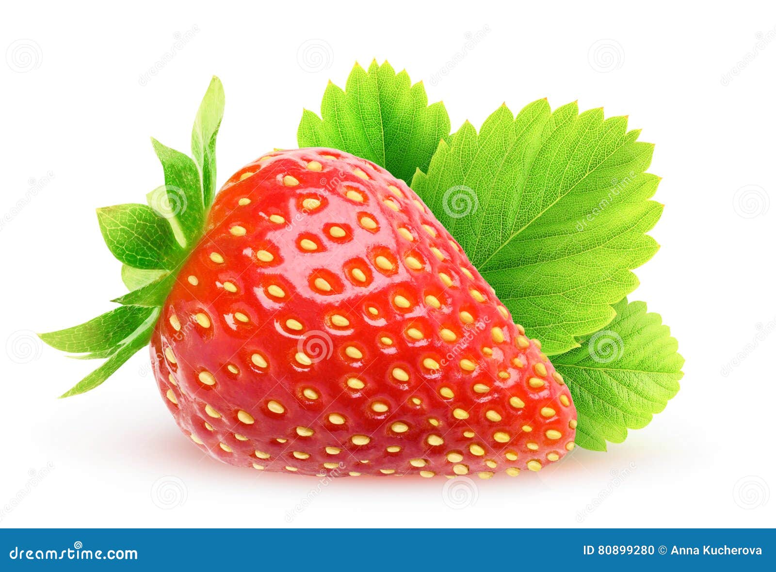 Una fragola isolata fotografia stock. Immagine di isolato - 80899280