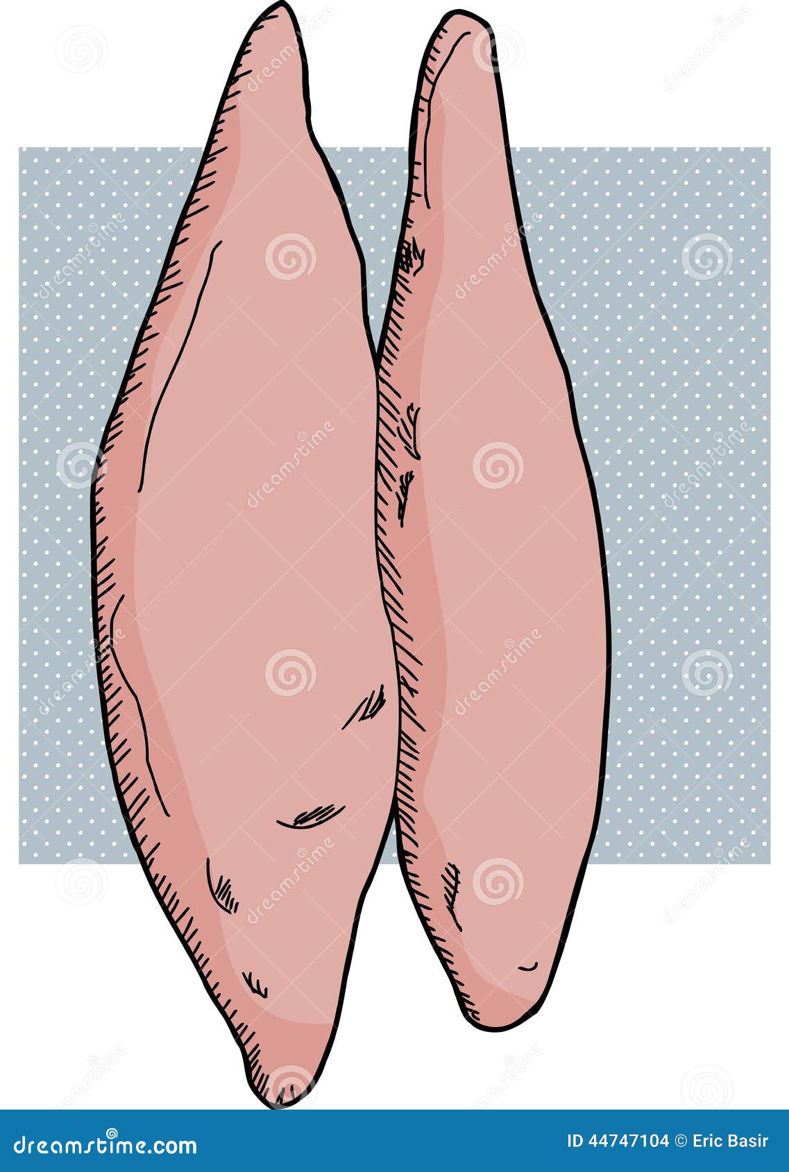 Una glándula de timo ilustración del vector. Ilustración de mano - 44747104