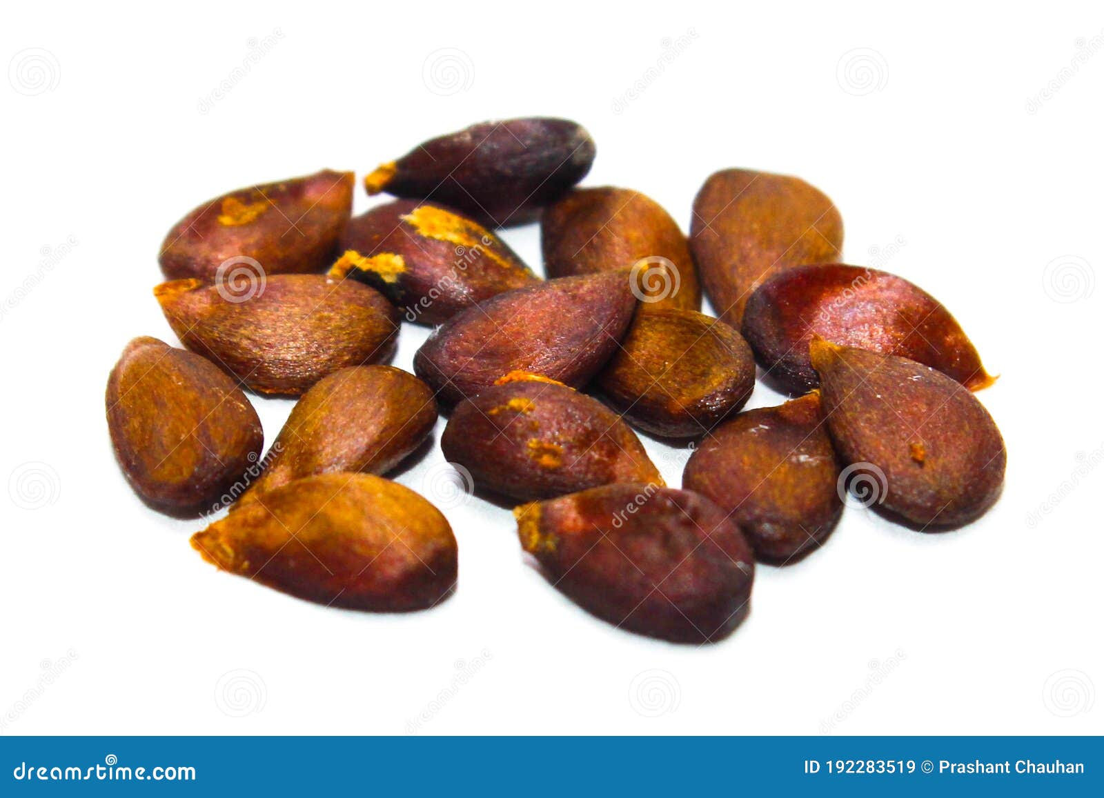 Una Imagen De Semillas De Manzana Imagen de archivo - Imagen de ...