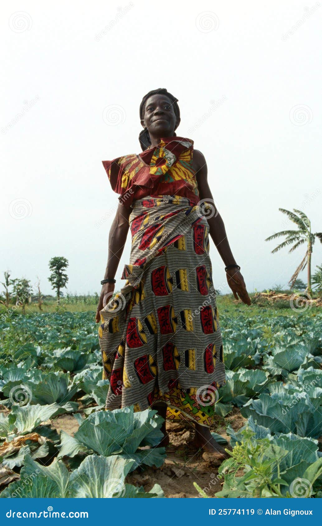 Una Manodopera Agricola, Uganda Immagine Stock Editoriale - Immagine di ...