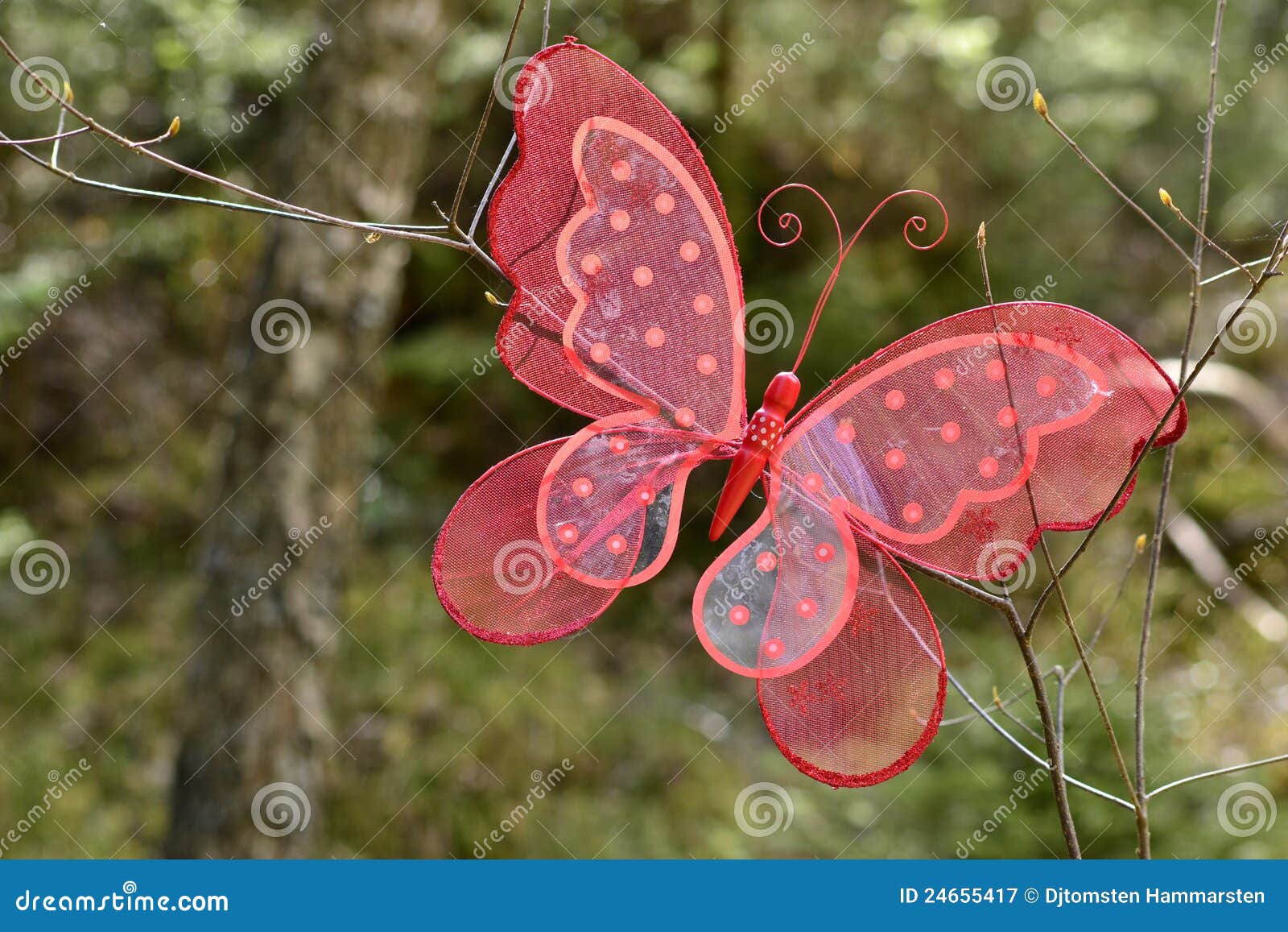 Una mariposa roja imagen de archivo. Imagen de insecto - 24655417