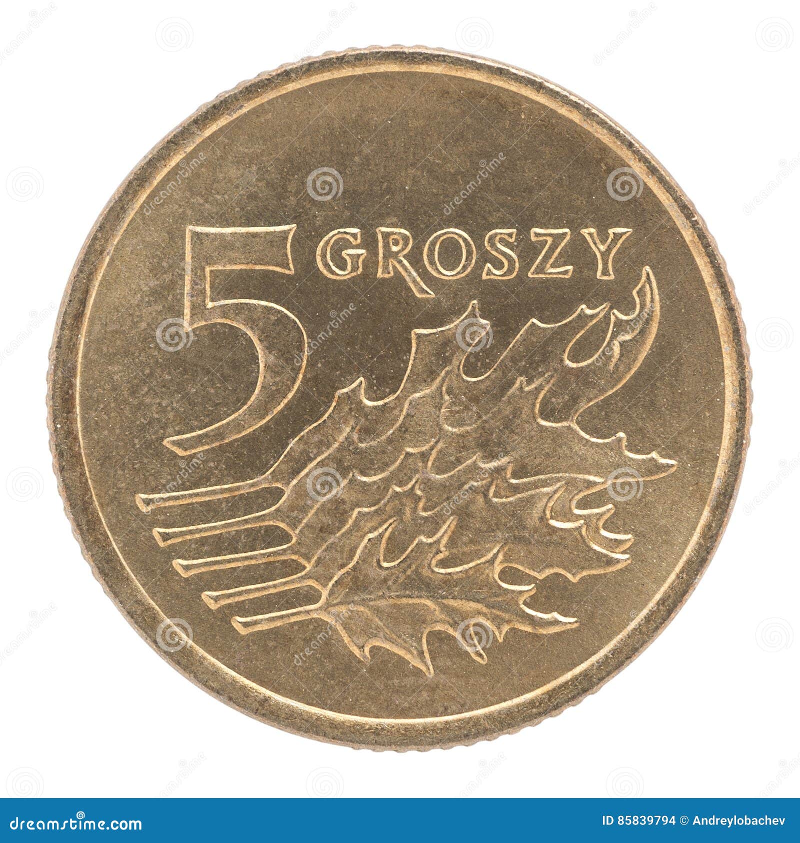 Una Moneta Polacca Da Cinque Groszy Fotografia Stock - Immagine di ...