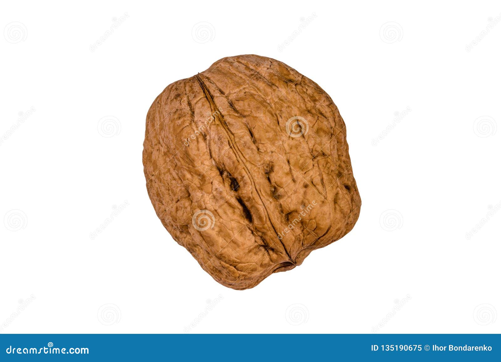 Una Nuez Aislada En El Fondo Blanco Imagen de archivo - Imagen de ...