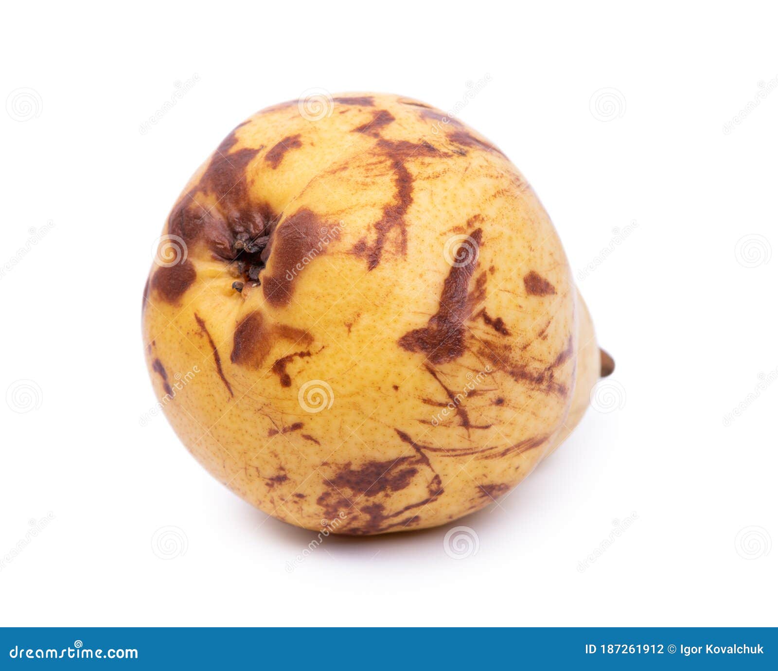 Una pera defectuosa foto de archivo. Imagen de malo - 187261912