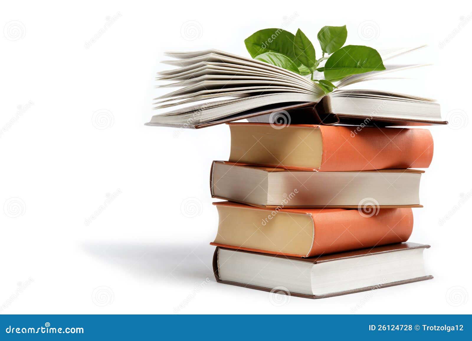 Una Pila Di Libri Su Un Bianco. Fotografia Stock - Immagine di ...