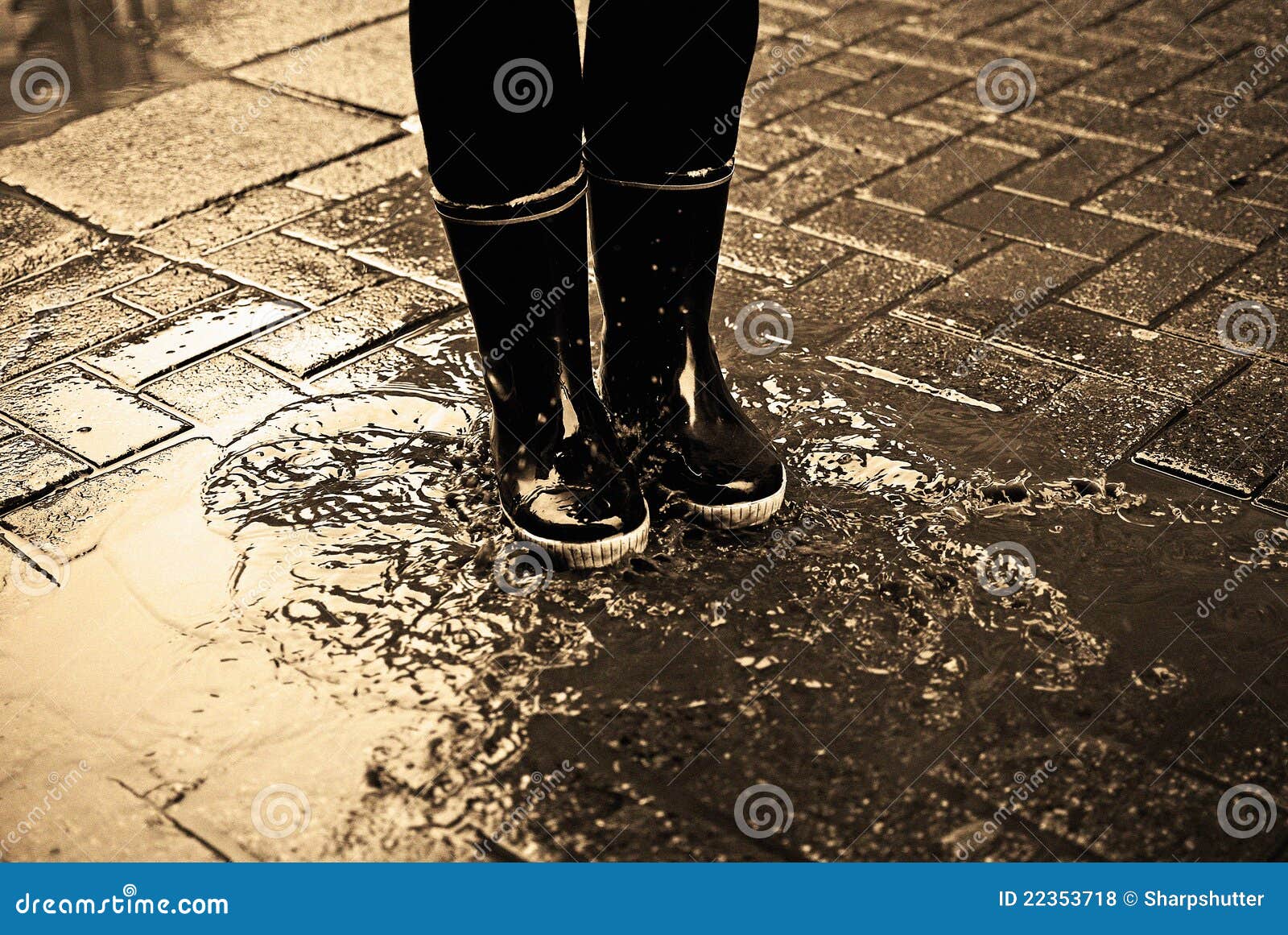 In una pozza fotografia stock. Immagine di pancia, piede - 22353718