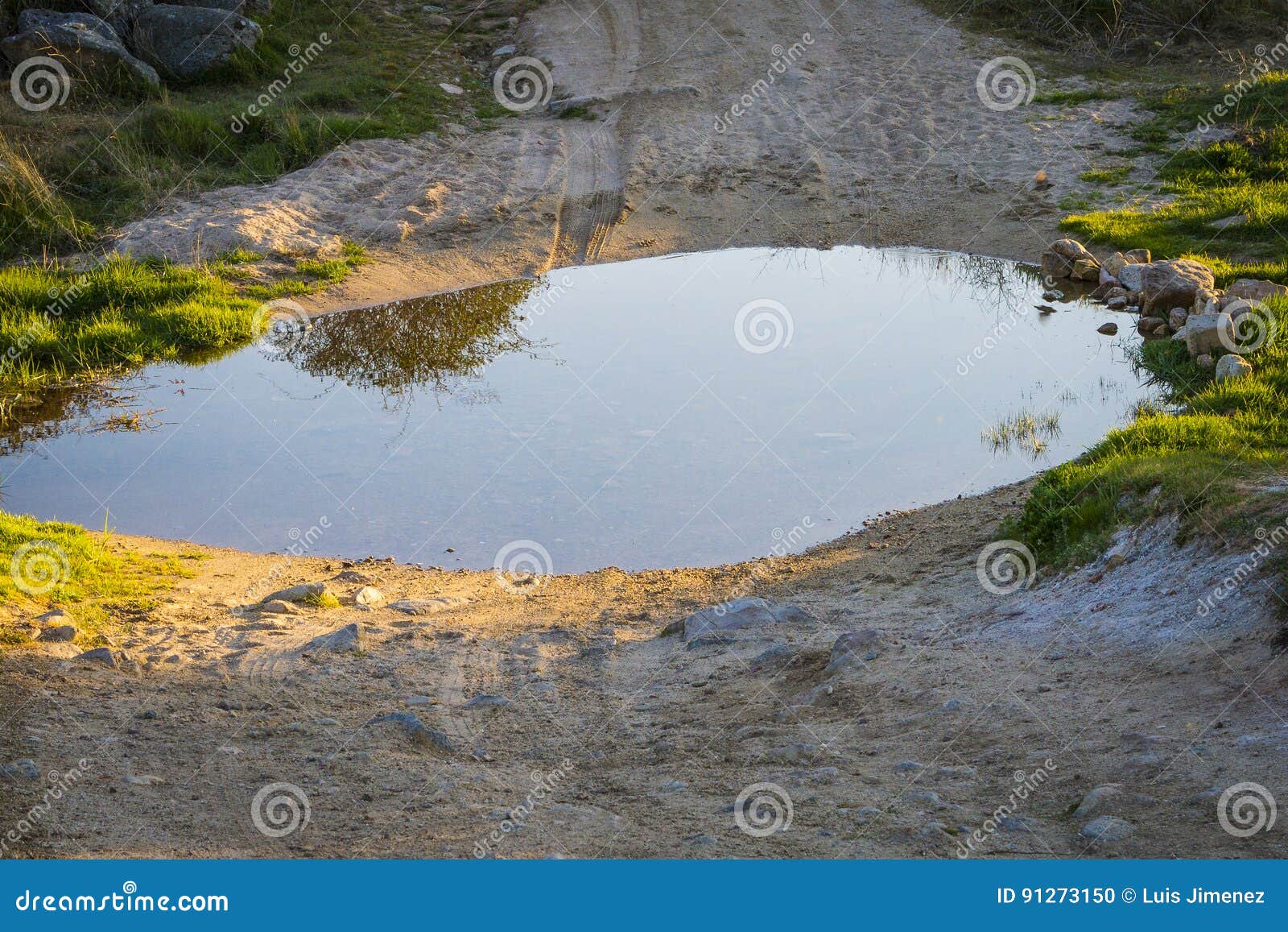 Una pozza di acqua fotografia stock. Immagine di estate - 91273150