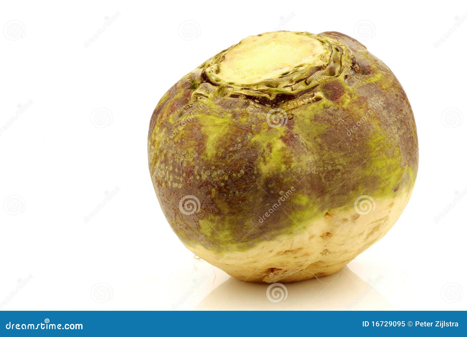 Una Rapa Fresca (rapa Di Rapa Del Brassica) Immagine Stock - Immagine ...