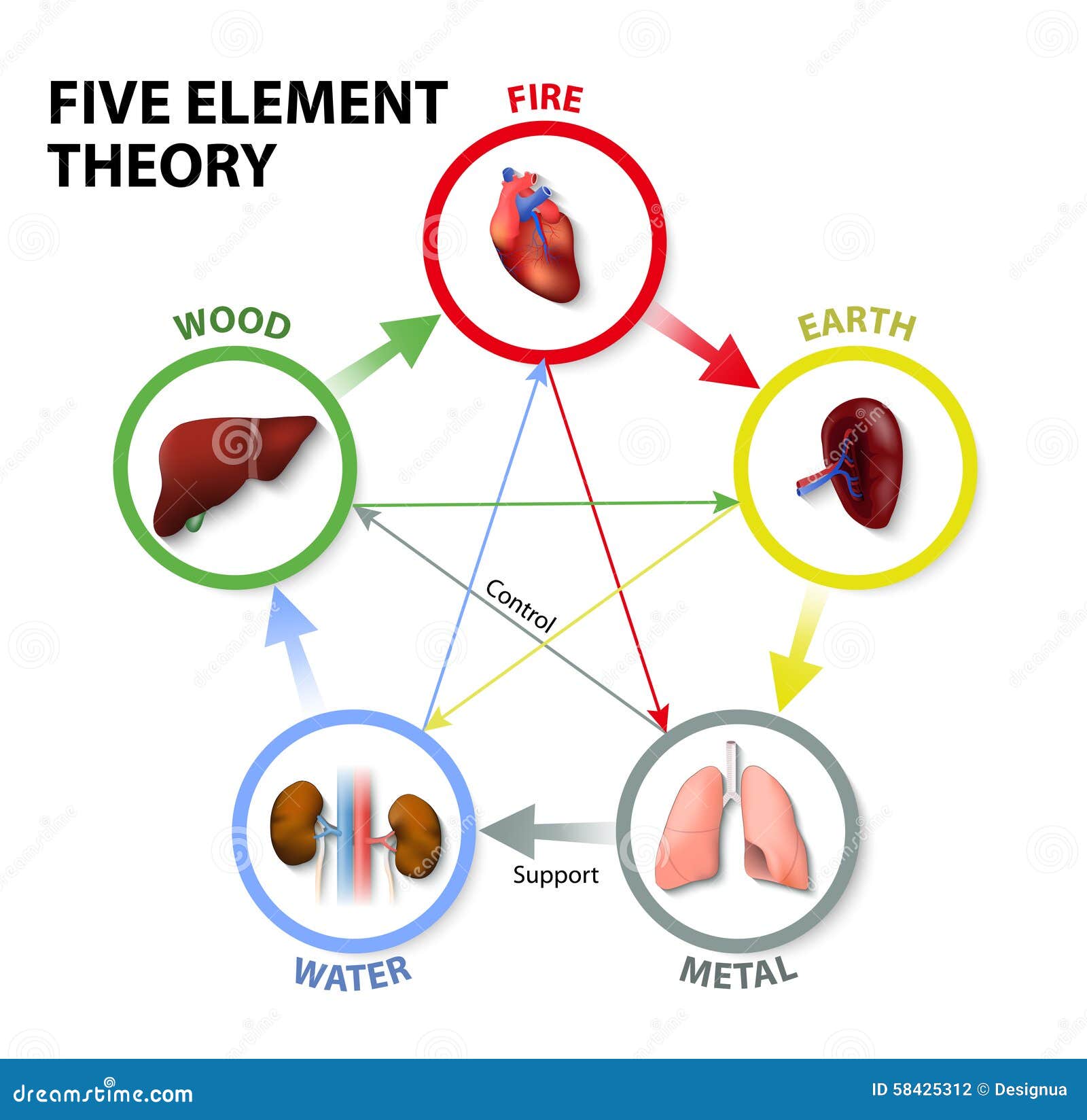 Una Teoria Di Cinque Elementi Illustrazione Vettoriale - Illustrazione ...
