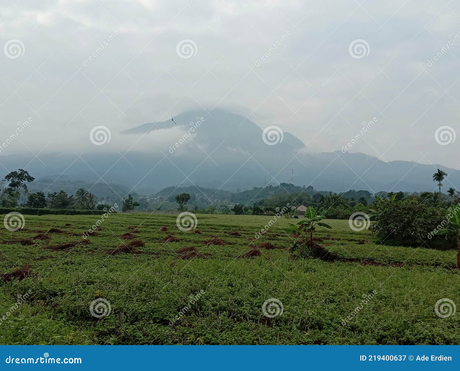 Una tierra de pasto imagen de archivo. Imagen de pista - 219400637