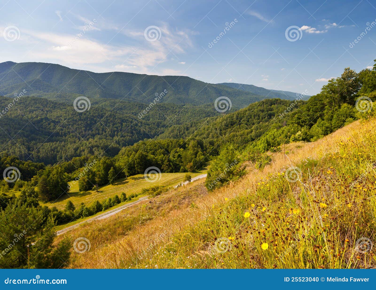 Unaka Mountains stock photo. Image of woods, range, view - 25523040