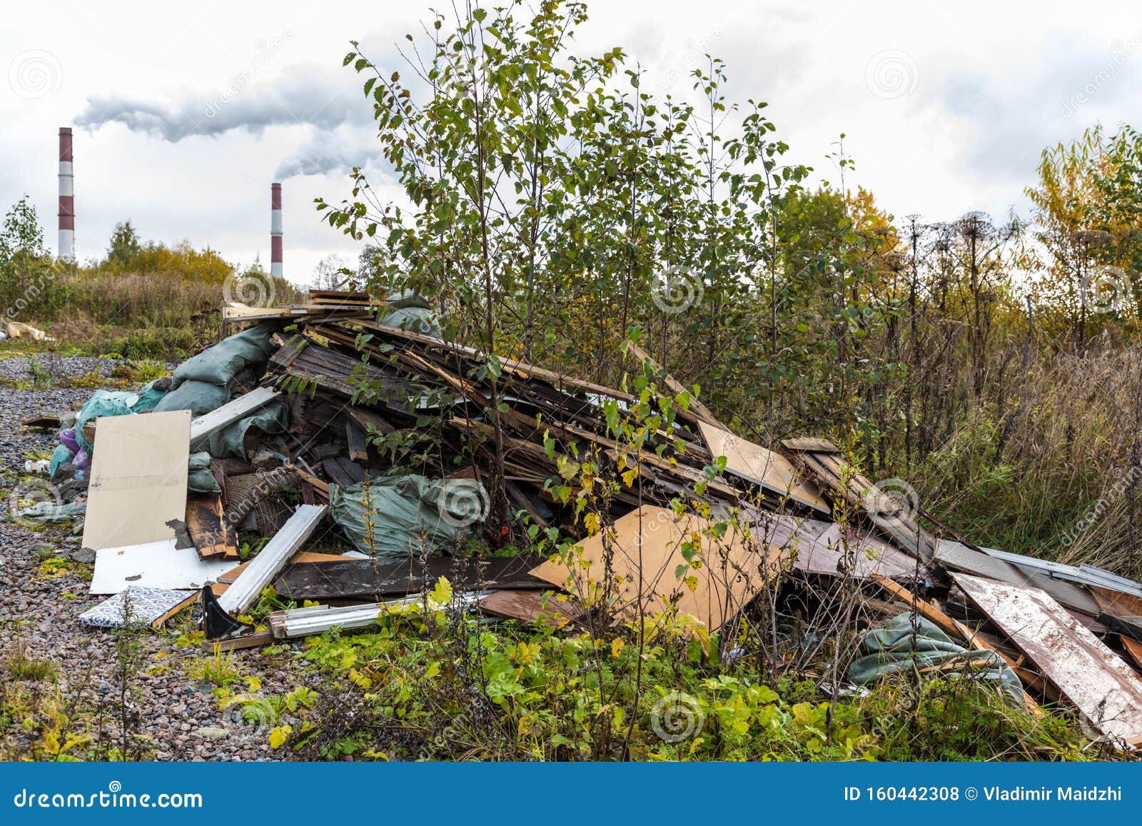 The Unauthorized Dump of Garbage among the Wild Nature Stock Photo ...