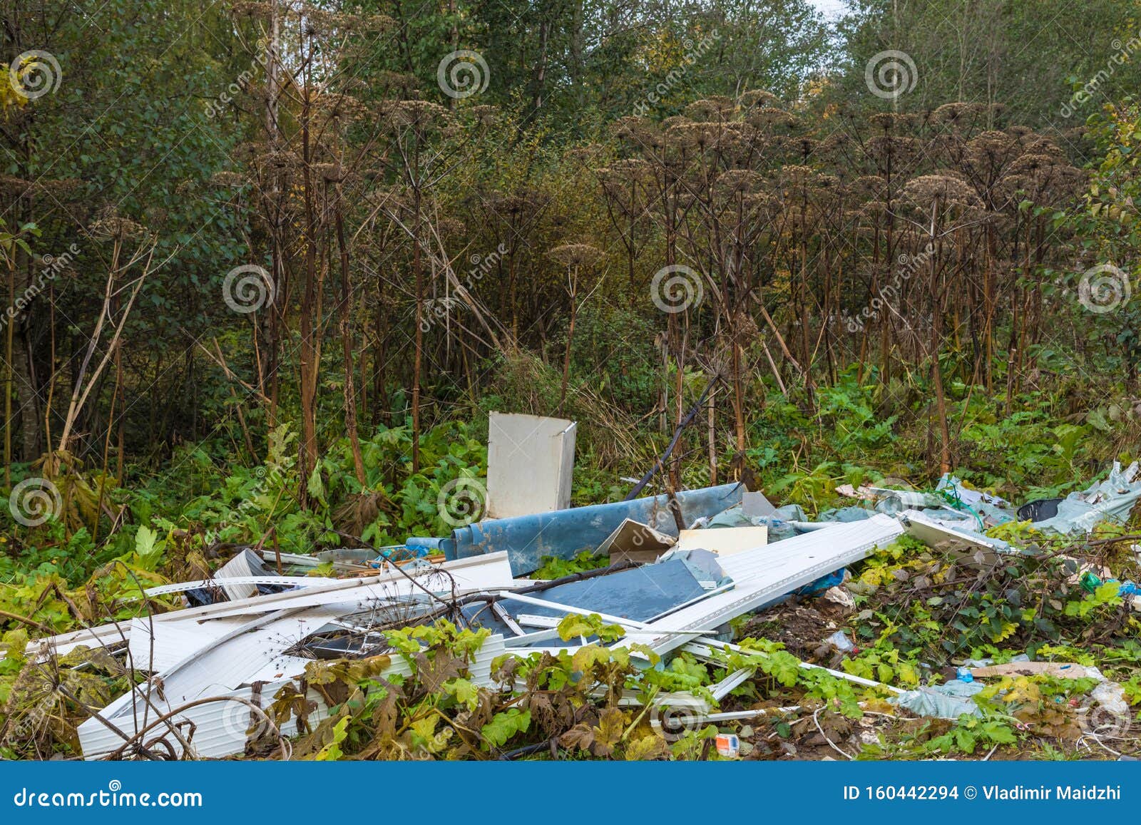 The Unauthorized Dump of Garbage among the Wild Nature Stock Photo ...