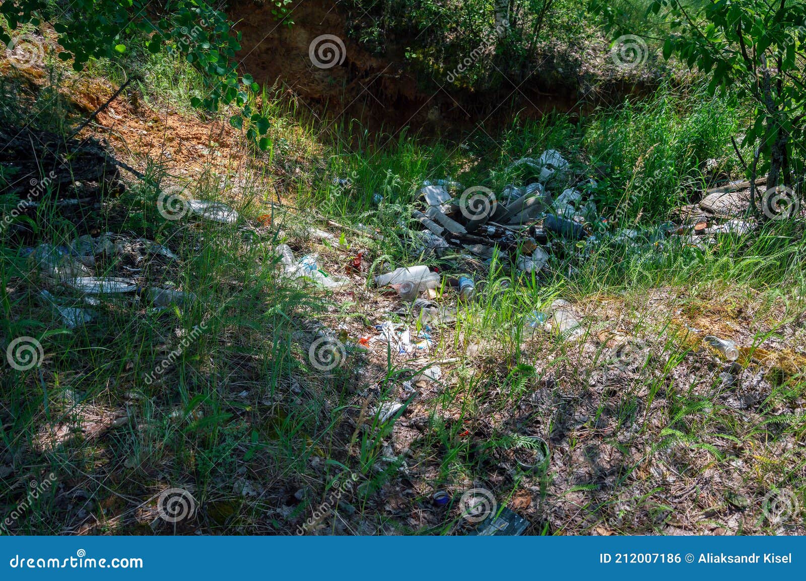 The Concept Of Landfills Piles Of Garbage Landfills In Nature Barbaric ...