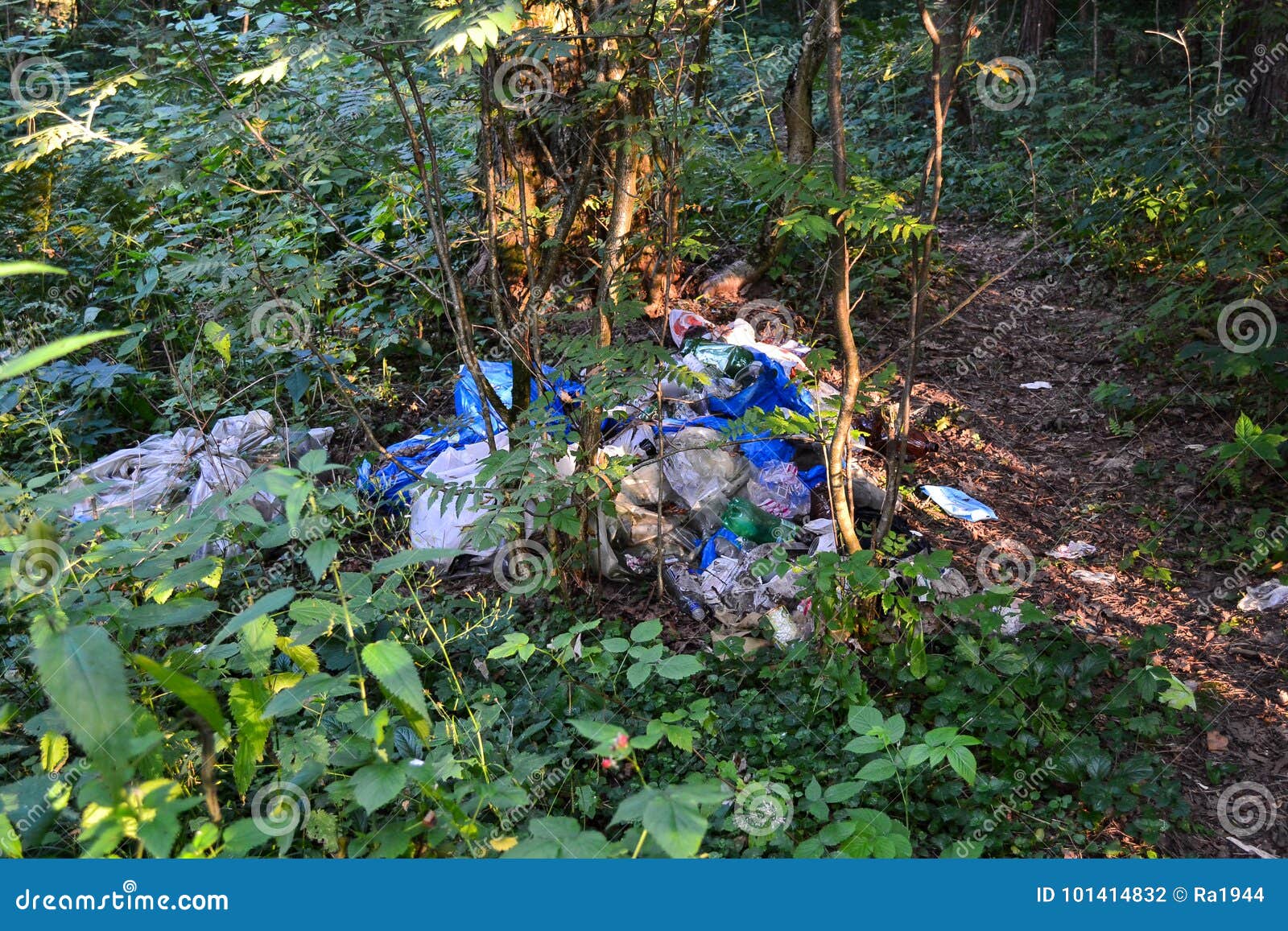 Forest Pollution Royalty-Free Stock Photo | CartoonDealer.com #78526311