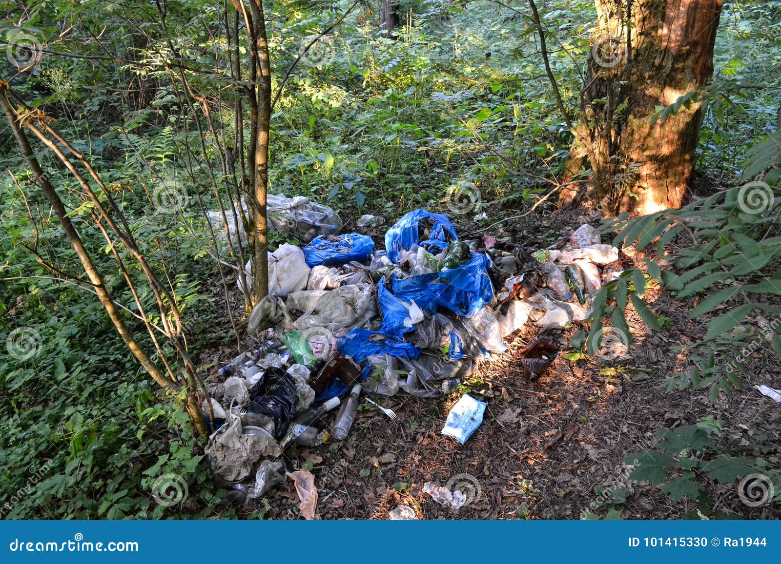 Unauthorized Landfill in the Forest. Pollution of Nature Stock Photo ...
