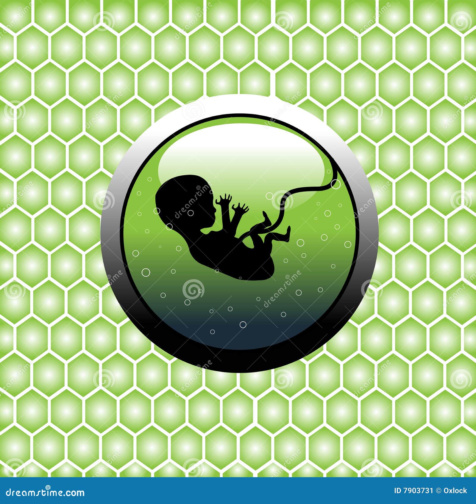 Unborn baby stock vector. Illustration of fertility, people - 7903731