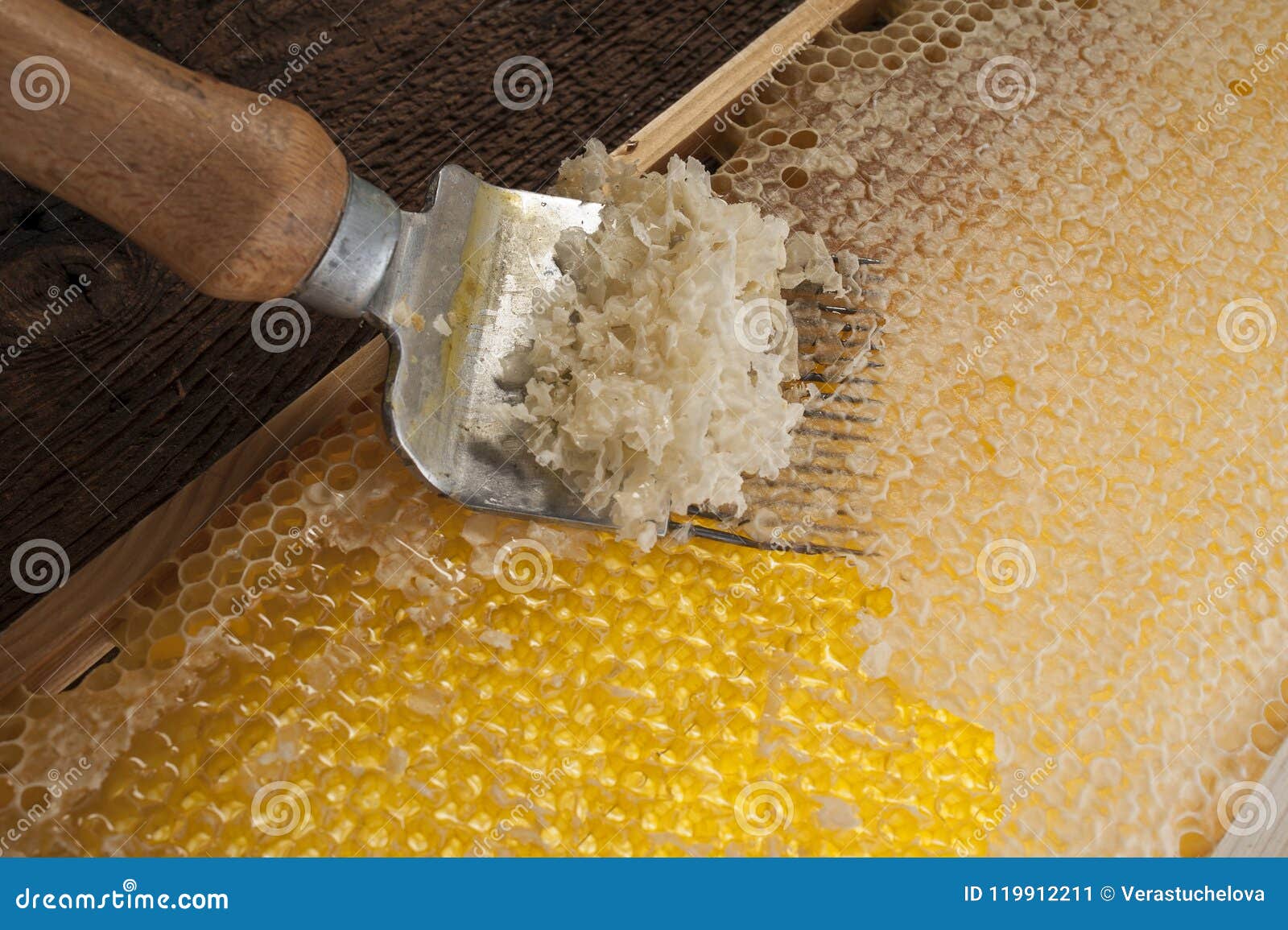 Honeycomb with Uncapping Fork Close Up Stock Image - Image of comb ...