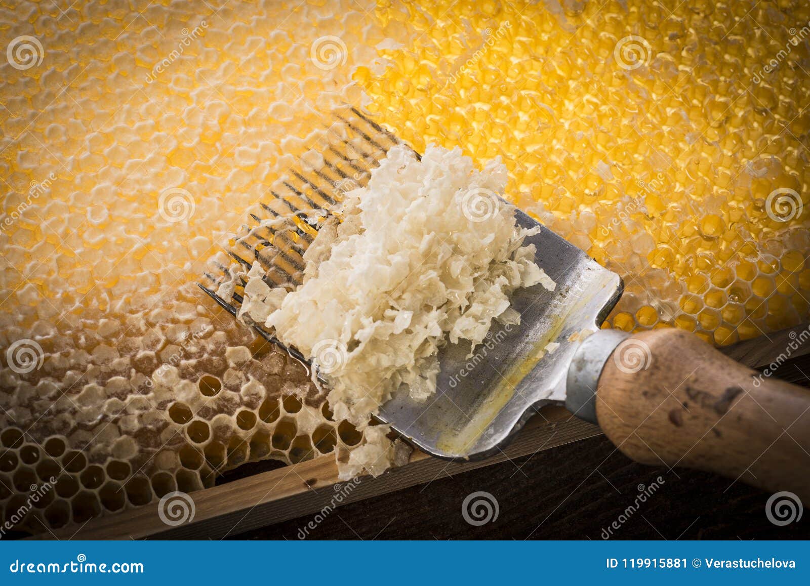 Honeycomb with Uncapping Fork Close Up Stock Image - Image of ...
