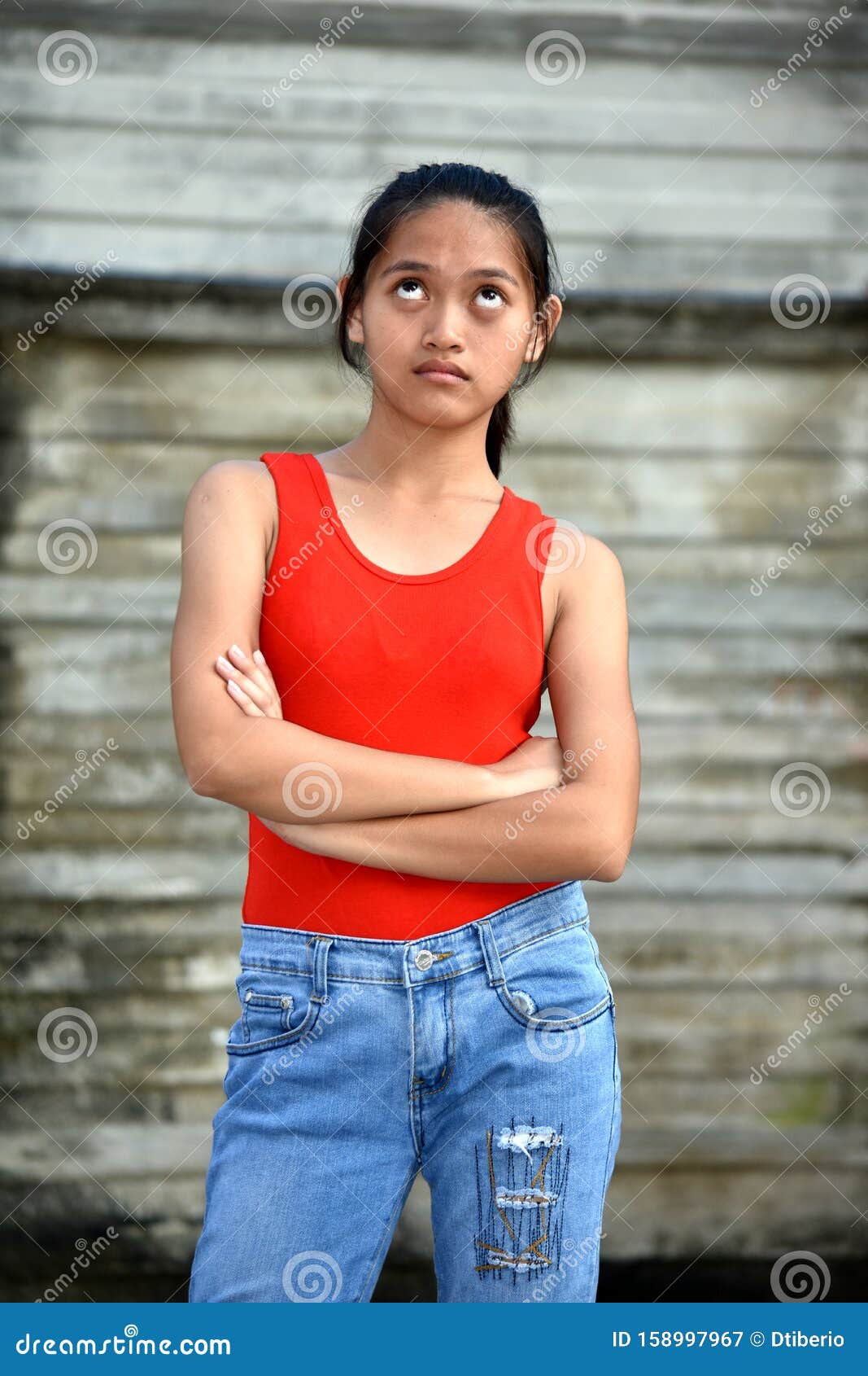 An an Uncaring Young Juvenile Stock Image - Image of indifferent ...