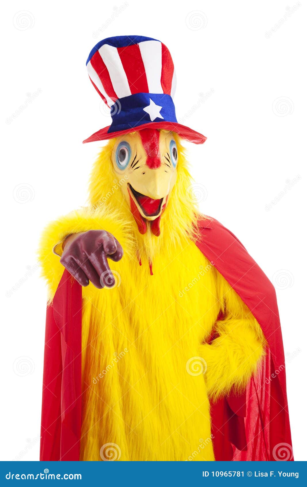 Uncle Chicken Wants You stock image. Image of uncle, patriotic - 10965781