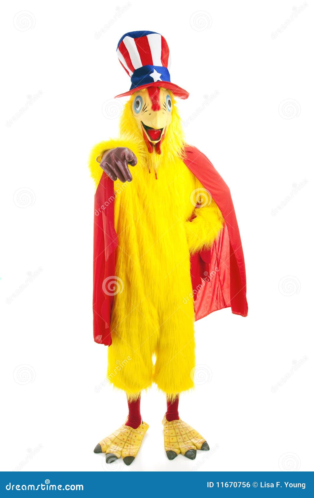 Uncle Chicken Wants You stock photo. Image of dressed - 11670756