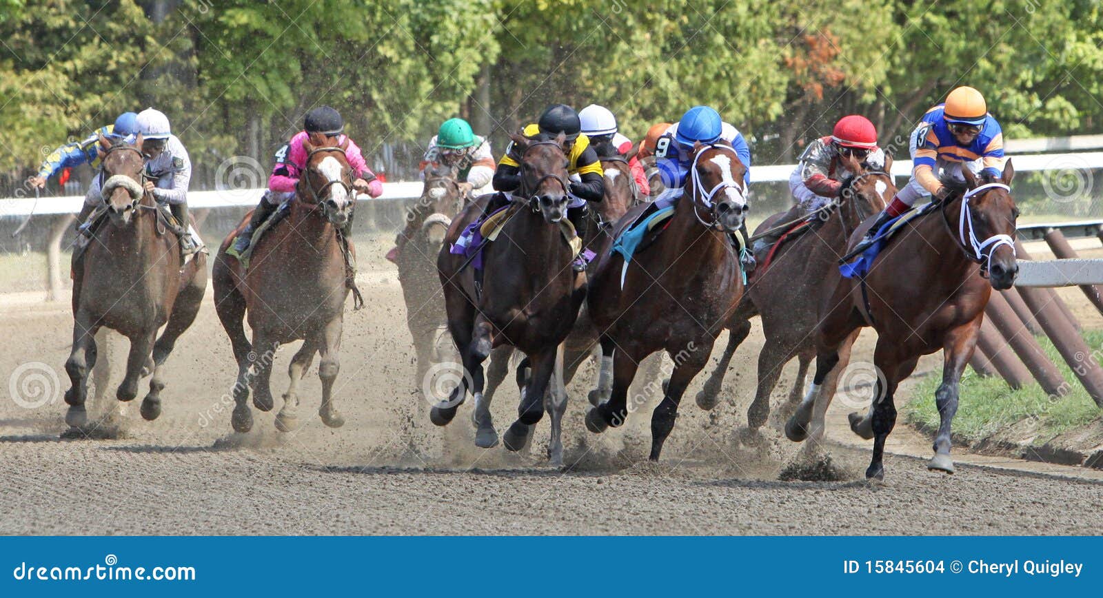 Uncle Mo Wins His First Race Editorial Stock Image - Image of derby ...