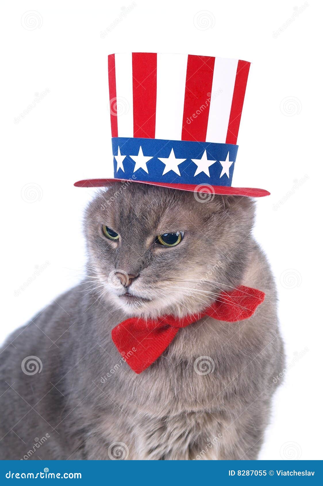 Uncle Sam stock image. Image of white, grey, nose, celebration - 8287055