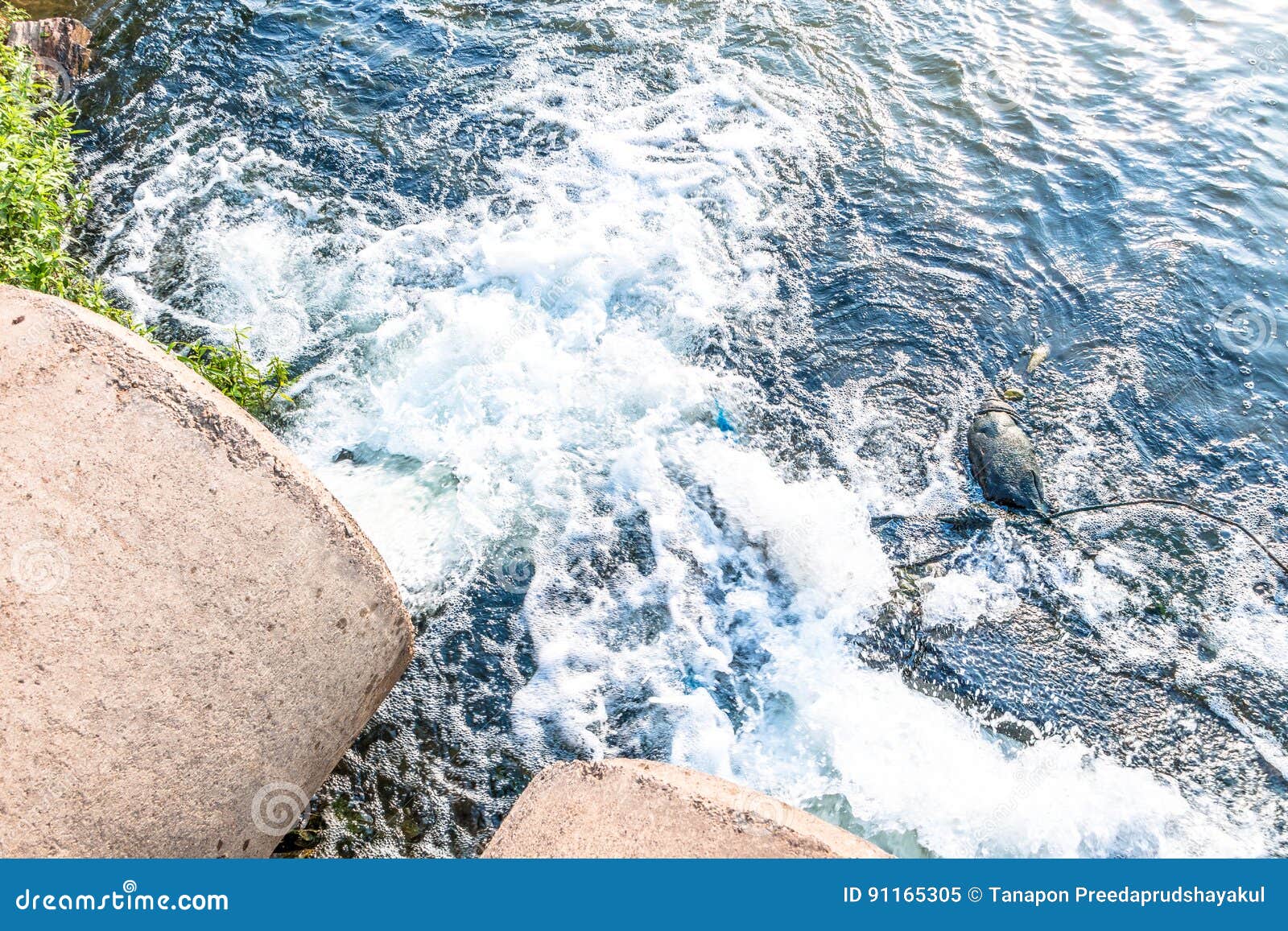 Unclean Water from the Sewer Stock Image - Image of nature, pond: 91165305