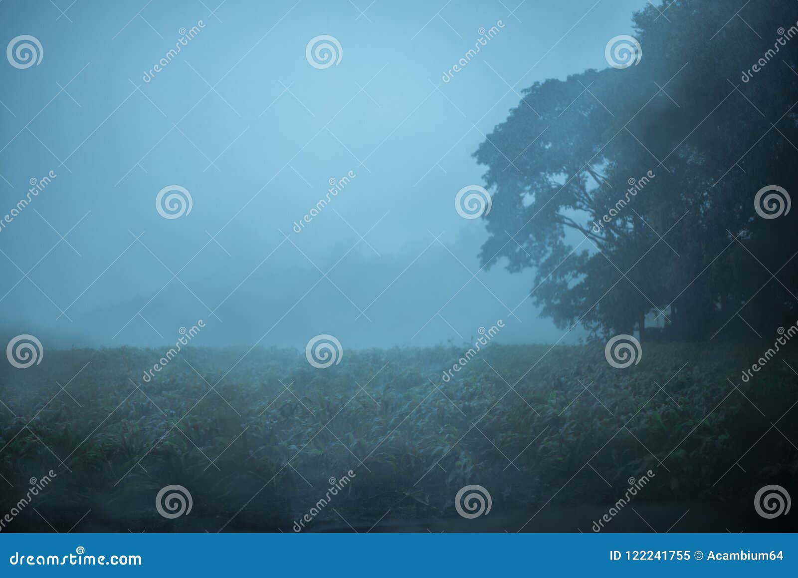 Unclear Scene of the Natural Field during Heavy Rain Stock Image ...