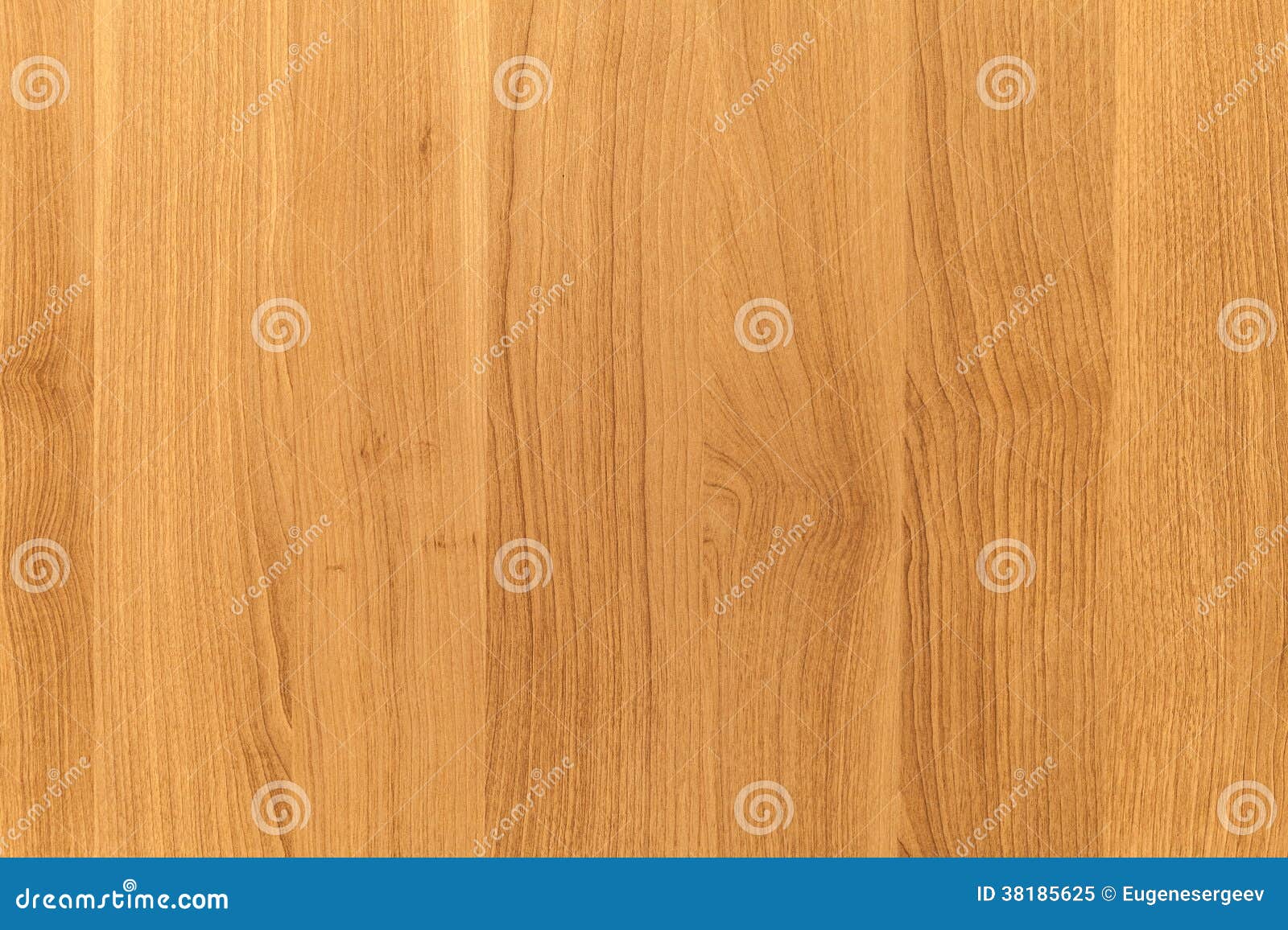 Uncolored Beech Wooden Board Pattern Stock Image - Image of table ...