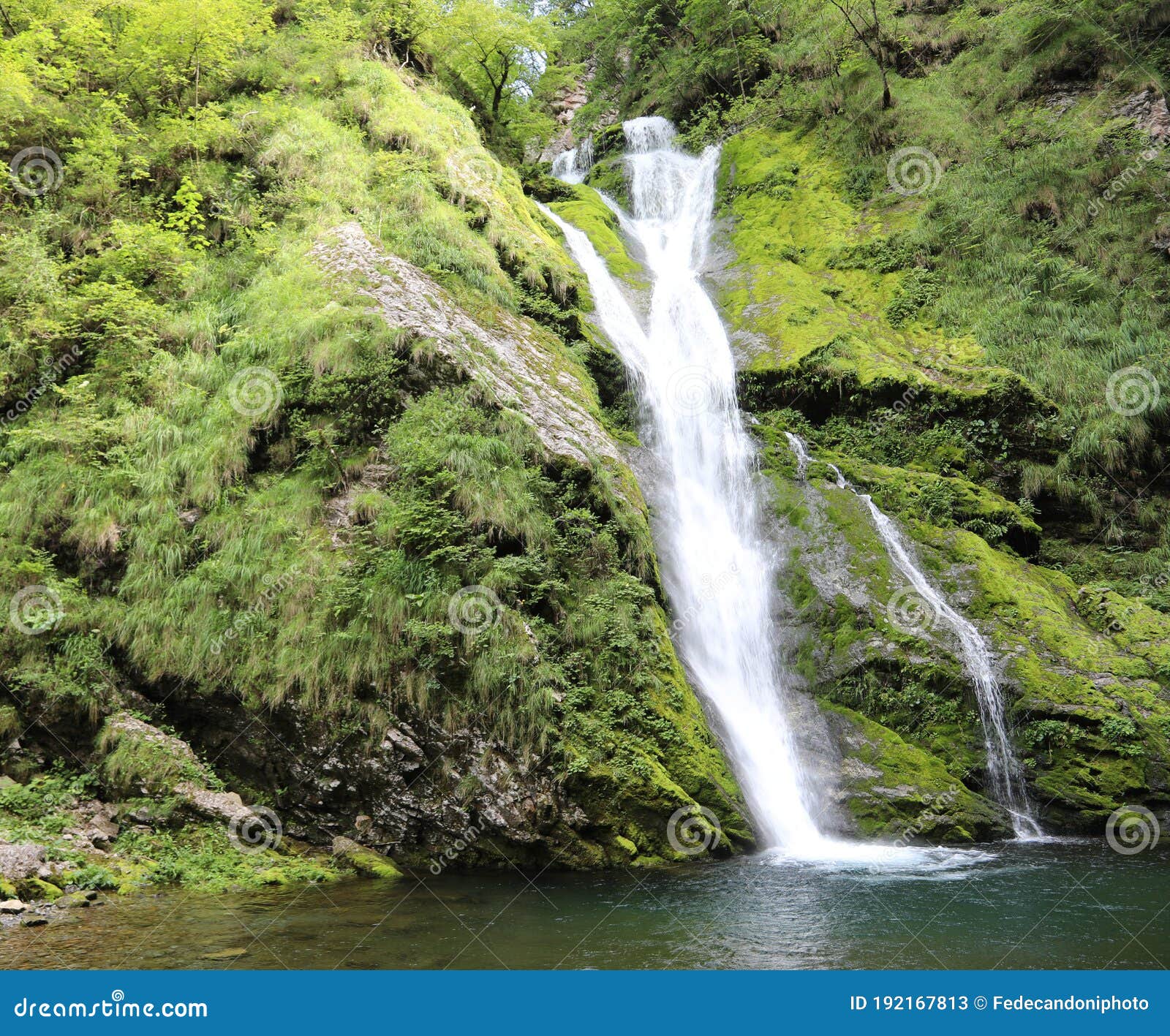 Uncontaminated Environment Surrounded by Nature and a Cascade of Stock ...