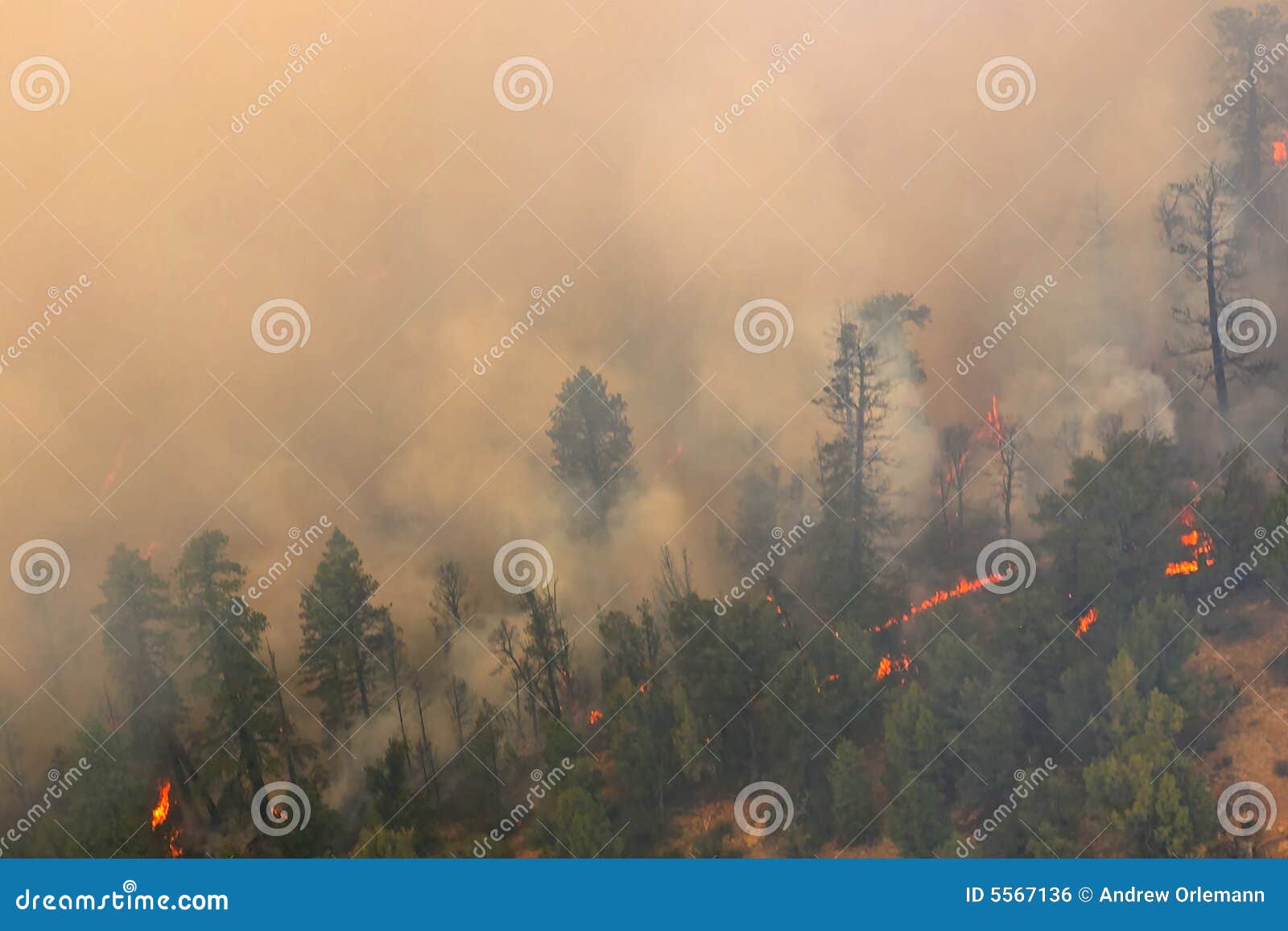 Uncontrolled Fire stock photo. Image of blaze, flammable - 5567136