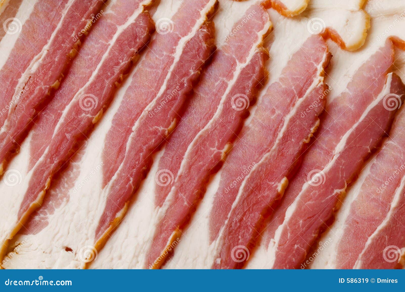 Uncooked Bacon stock image. Image of salty, breakfast, background - 586319