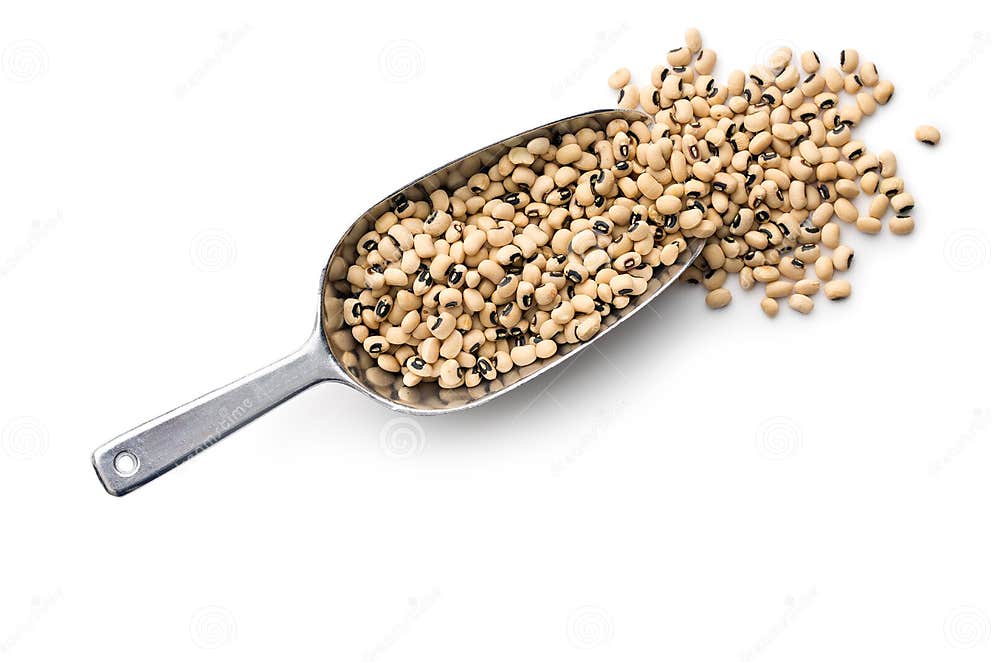 Uncooked beans in scoop stock image. Image of health - 60164779