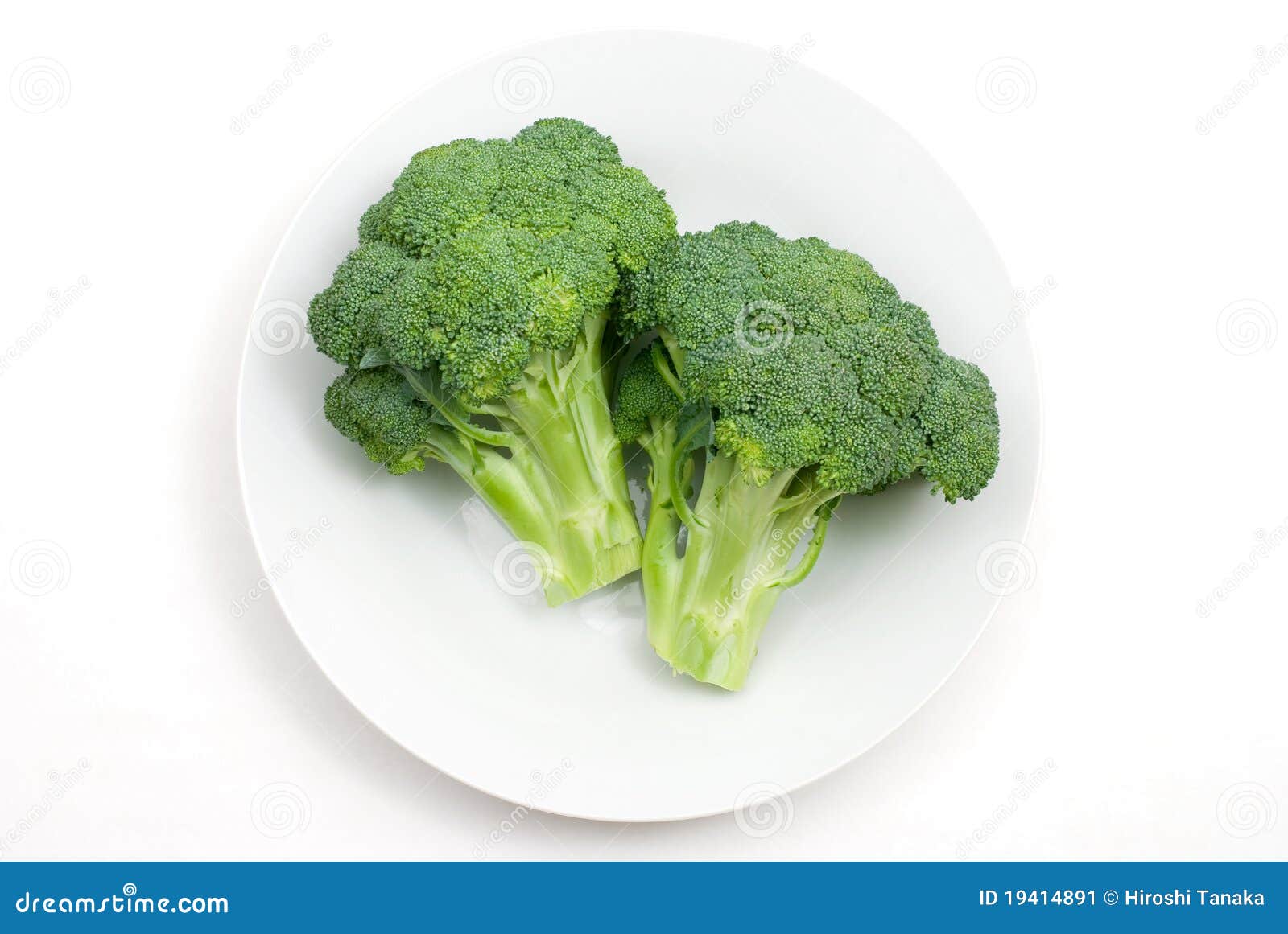 Uncooked broccoli stock image. Image of white, color - 19414891