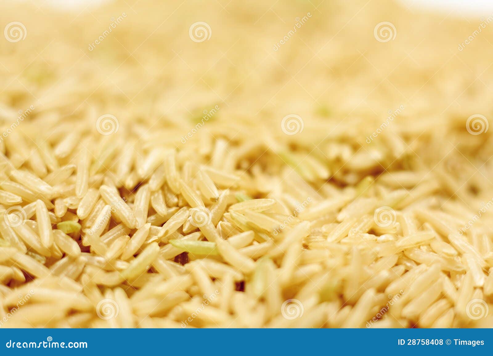 Uncooked brown rice stock photo. Image of meal, vegetarian - 28758408