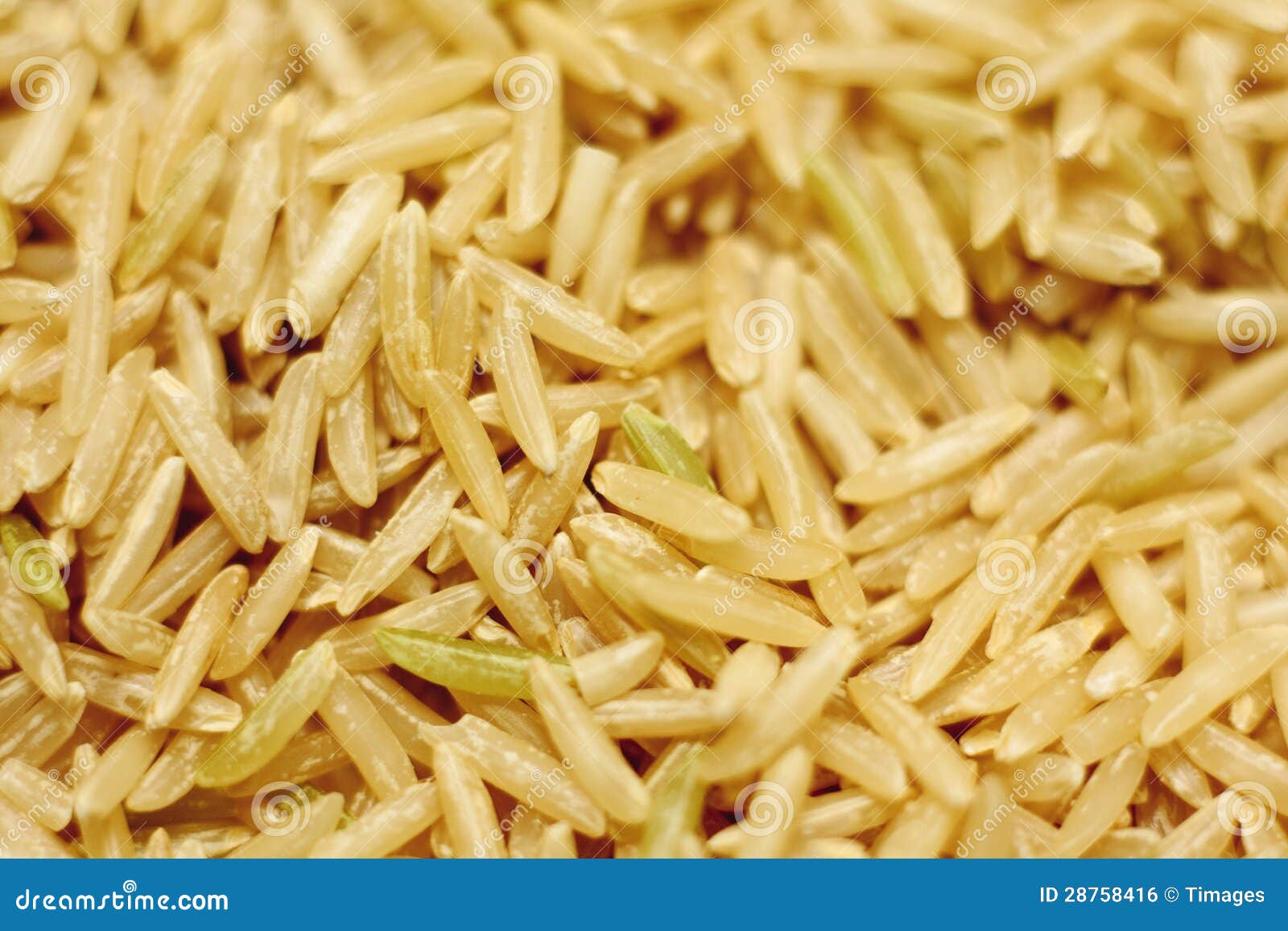 Uncooked brown rice stock photo. Image of heap, diet - 28758416