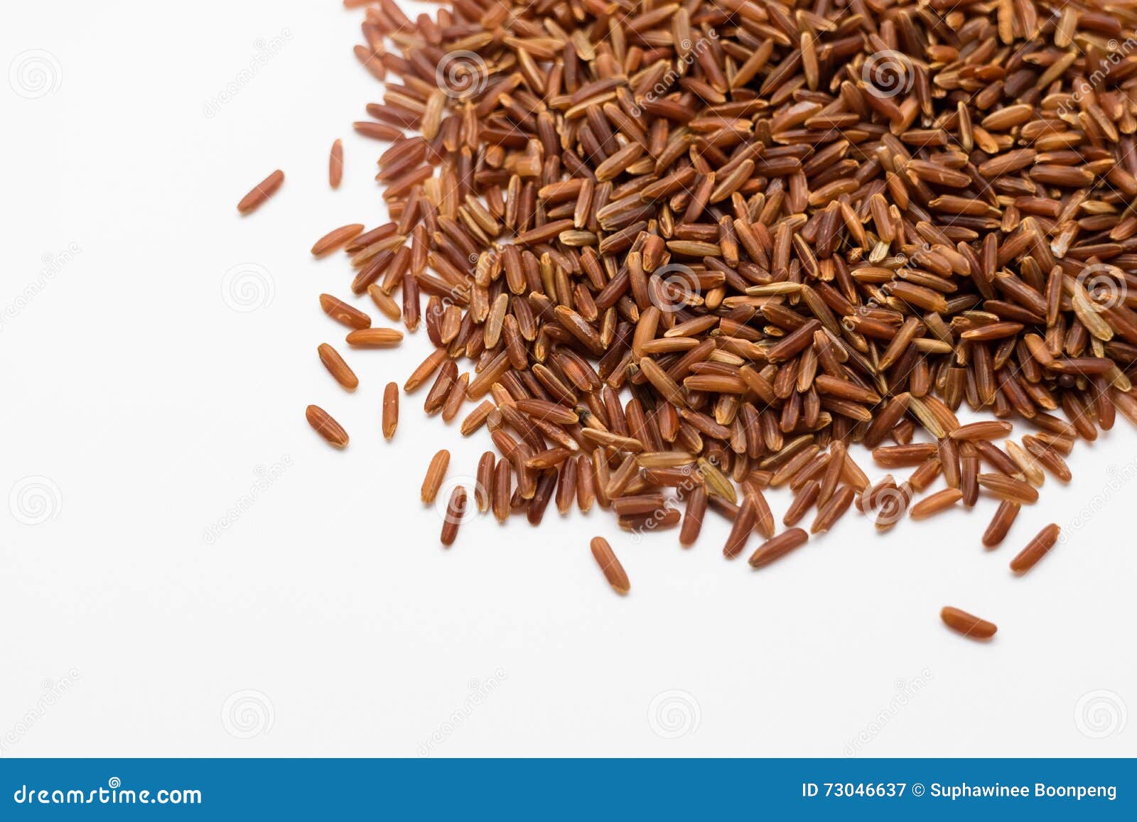 Uncooked Brown Rice on White Background Stock Image - Image of ...