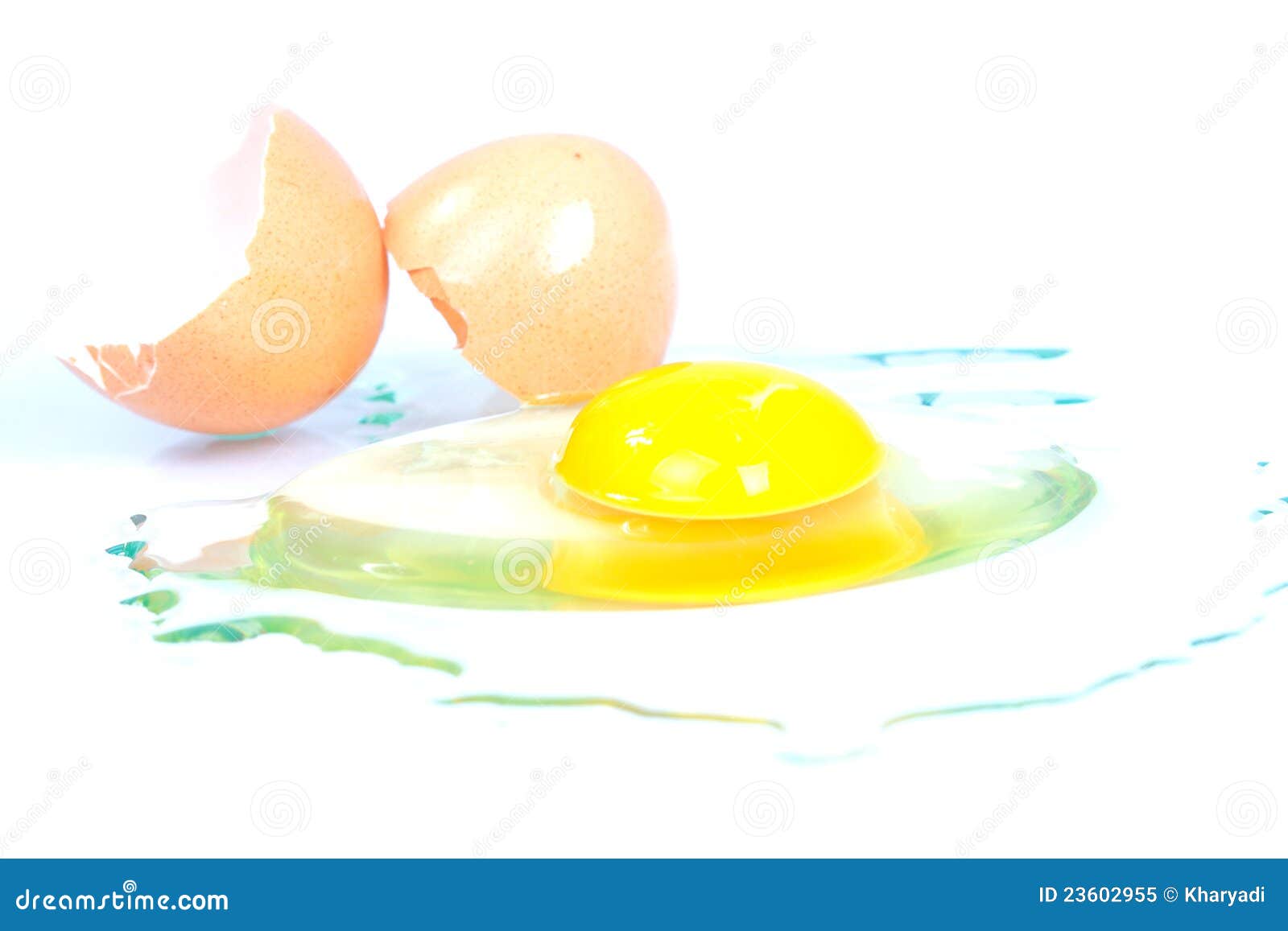 Uncooked Chicken Egg and Opened Eggshell. Stock Image - Image of ...