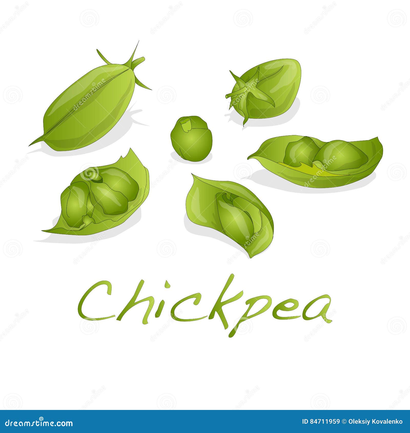 Chickpeas Vector Illustration | CartoonDealer.com #73701951
