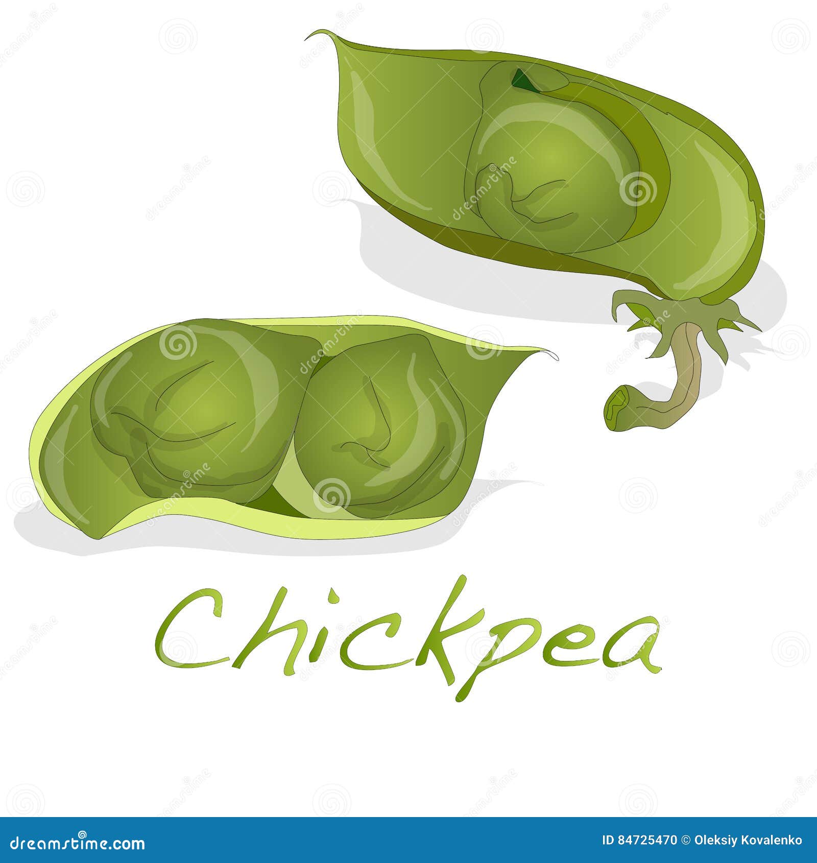 Chickpeas Vector Illustration | CartoonDealer.com #73701951